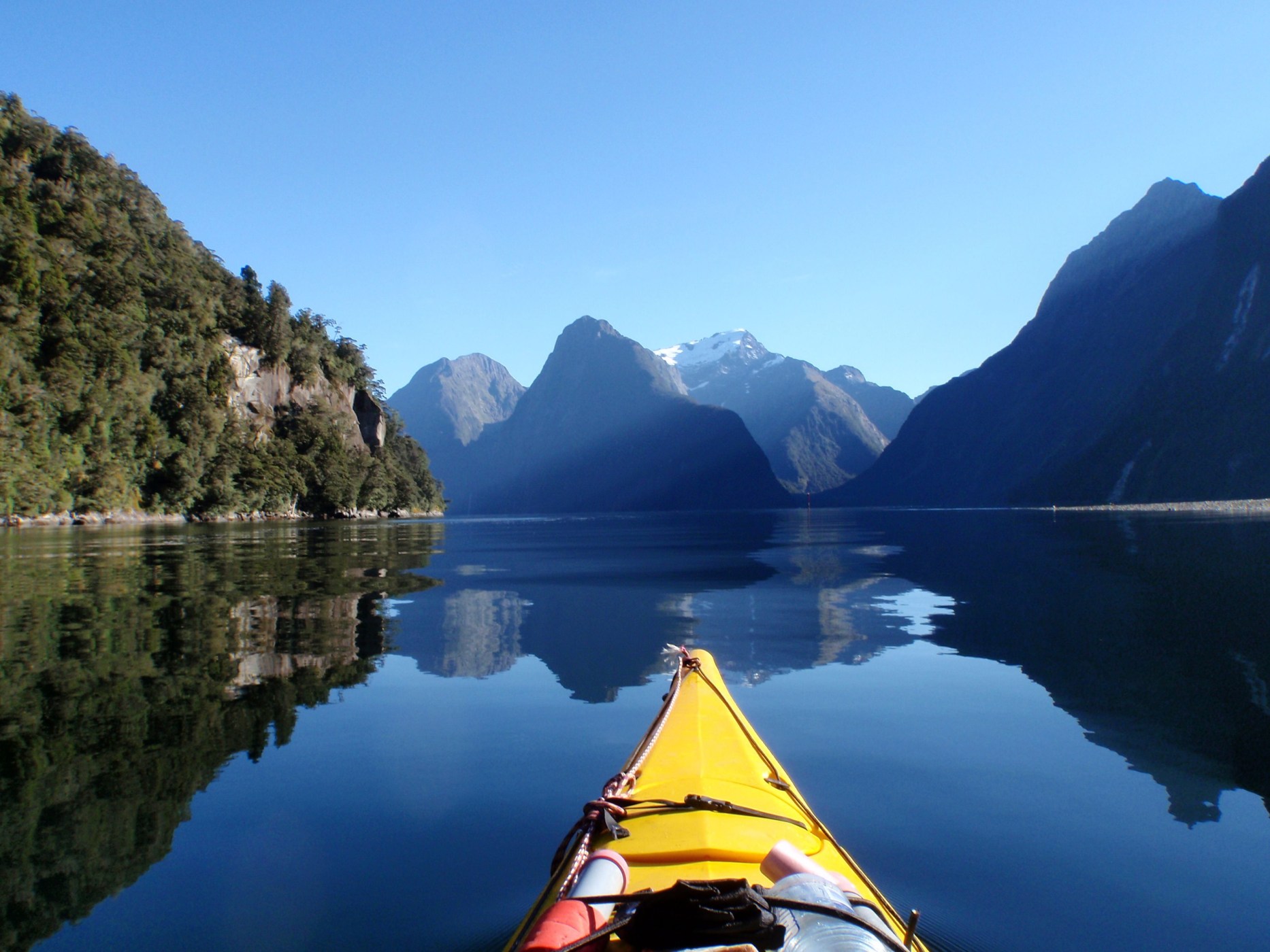 Fun Milford Sound Kayak Cruise in NZ | Rosco's Milford Kayaks